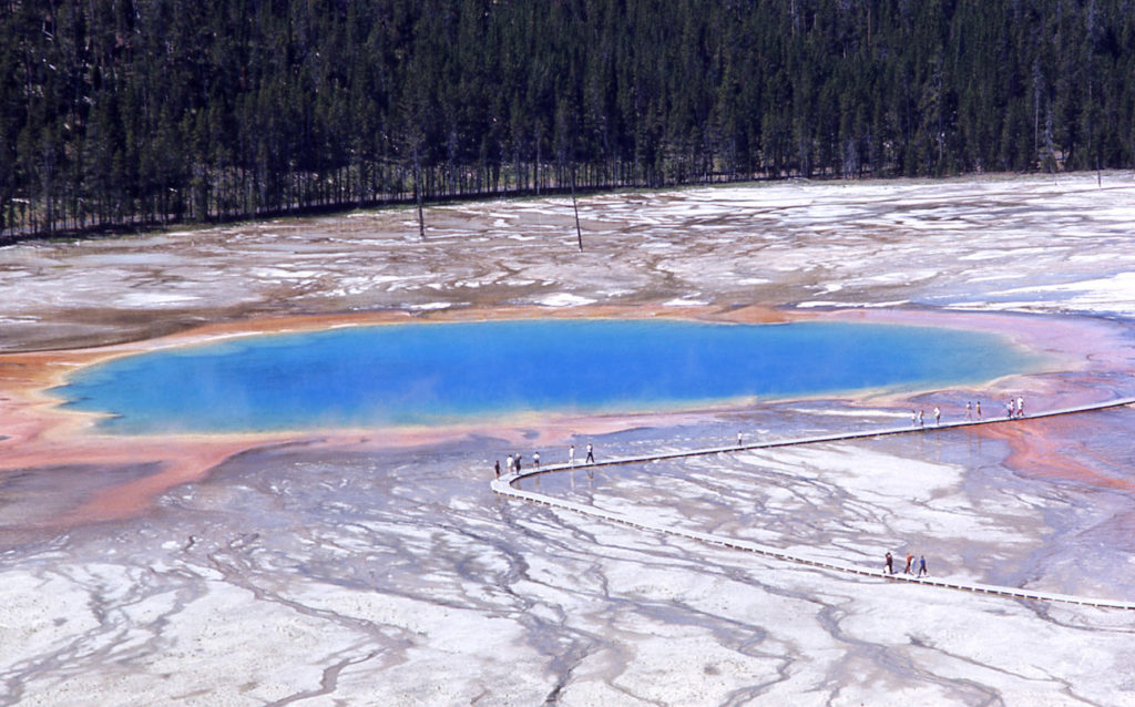 Yellowstone employee scalded after falling into hot spring