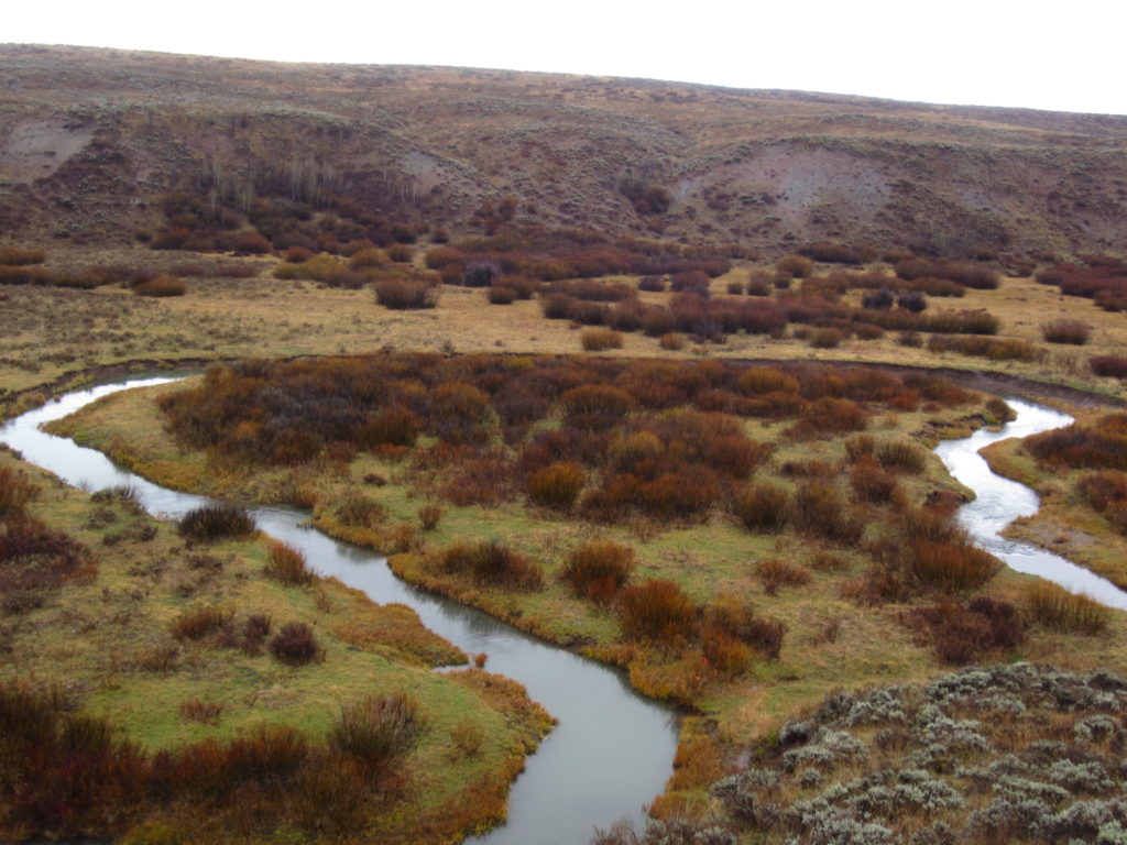 Tincup Creek Stream restoration project moves along