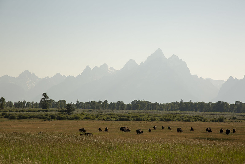 Year in Review: Buckrail Best of 2019