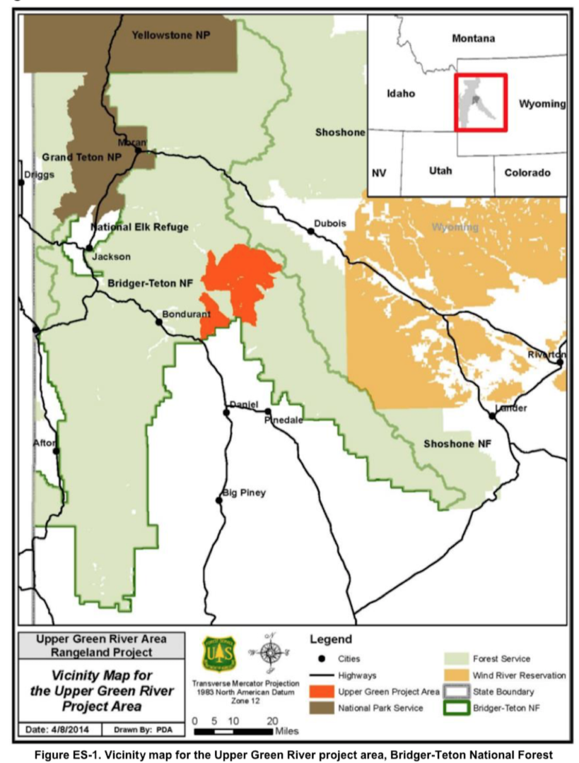 USFS: Cattle grazing to continue in the Upper Green