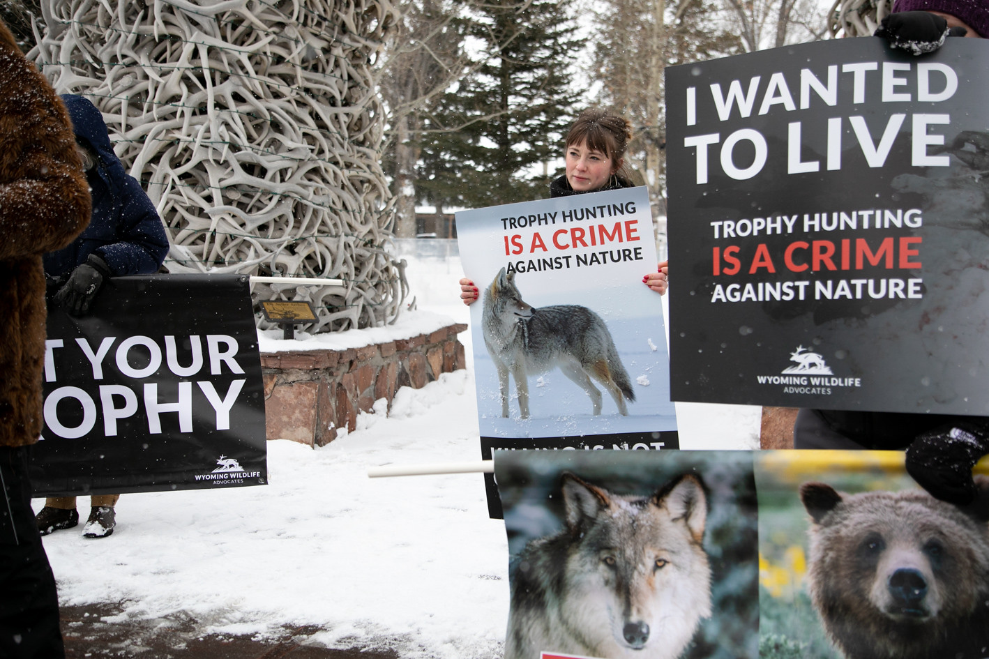 SNAPPED: Jackson rallies against trophy hunting