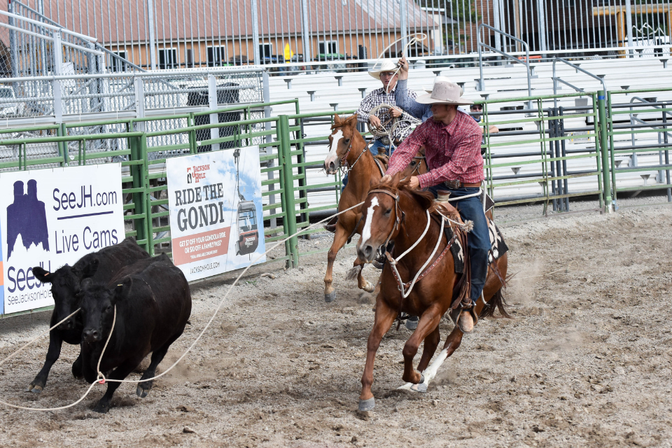 Teton County Fair: Know before you go!