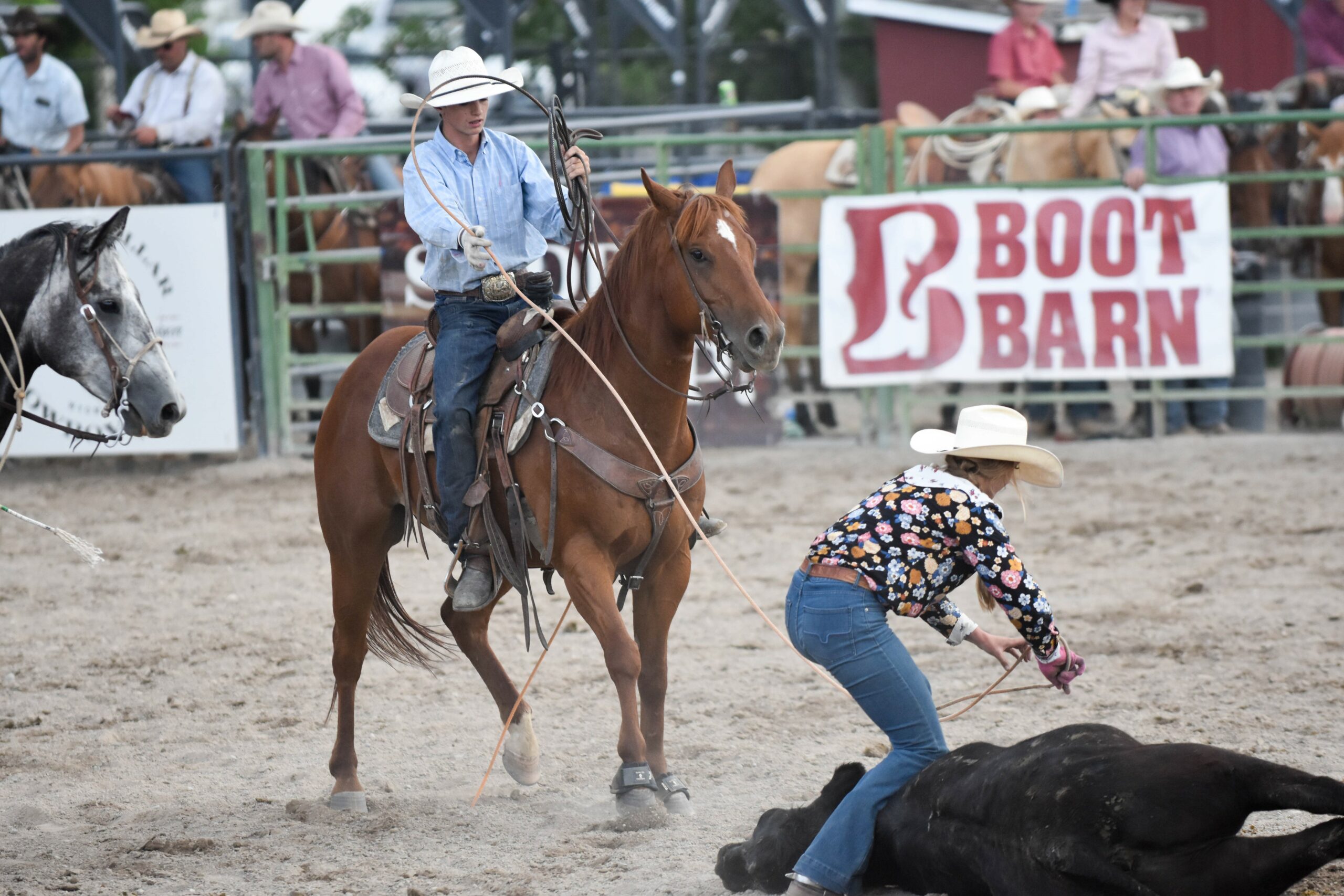 Teton County Fair night event tickets are on sale now