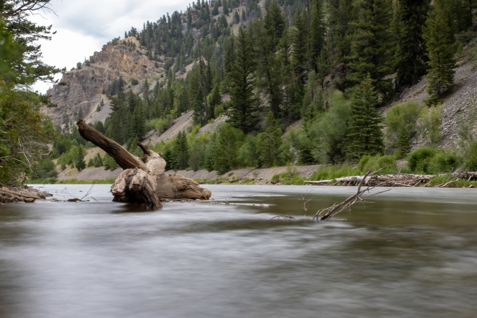Public invited to learn more about Hoback River watershed study