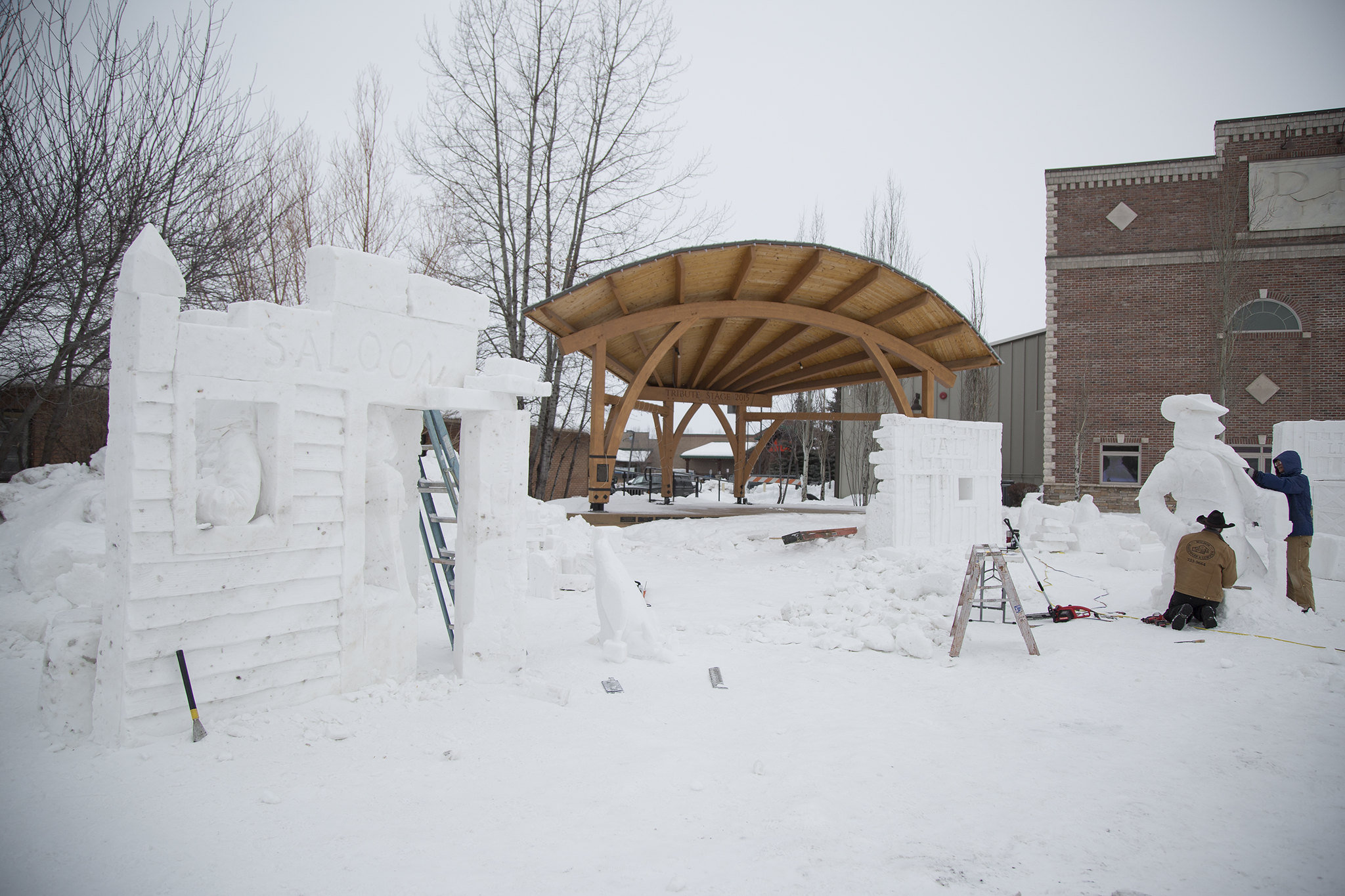 Driggs Snowscapes currently on display