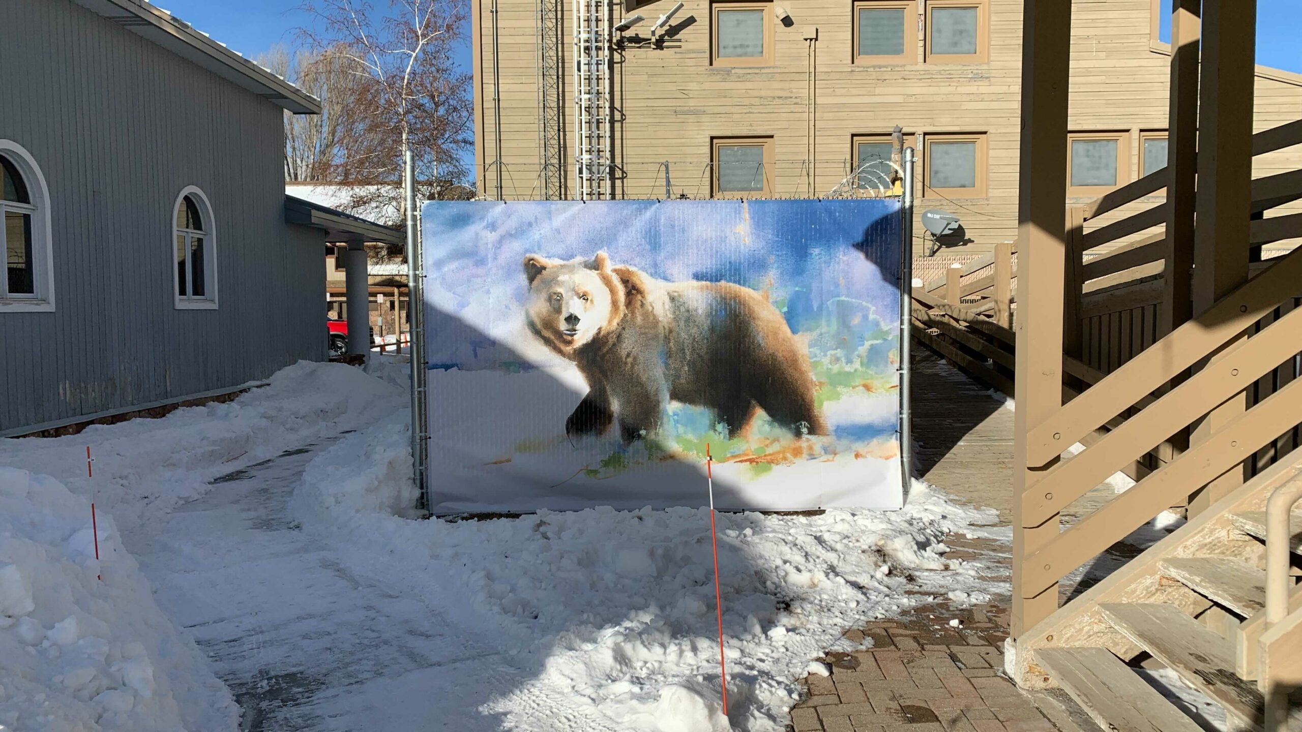 SNAPPED: JH Public Art unveils 12-foot bear banner