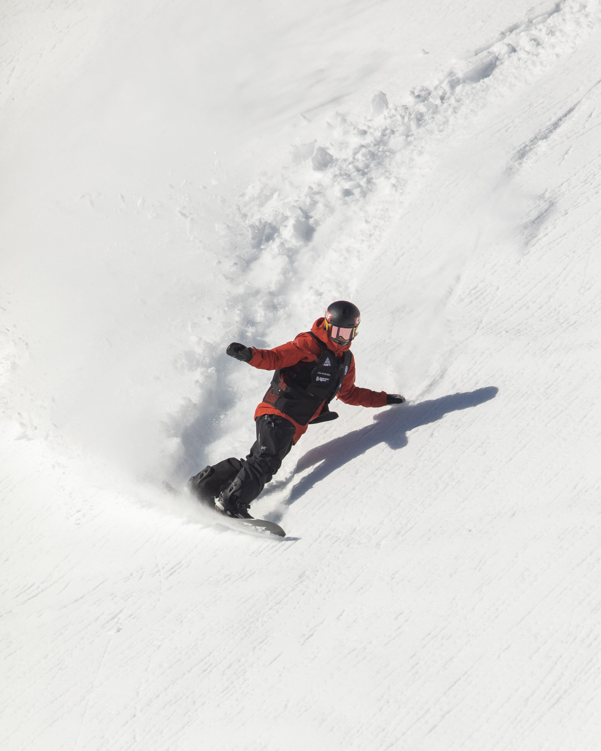 SNAPPED: Natural Selection Tour at JHMR