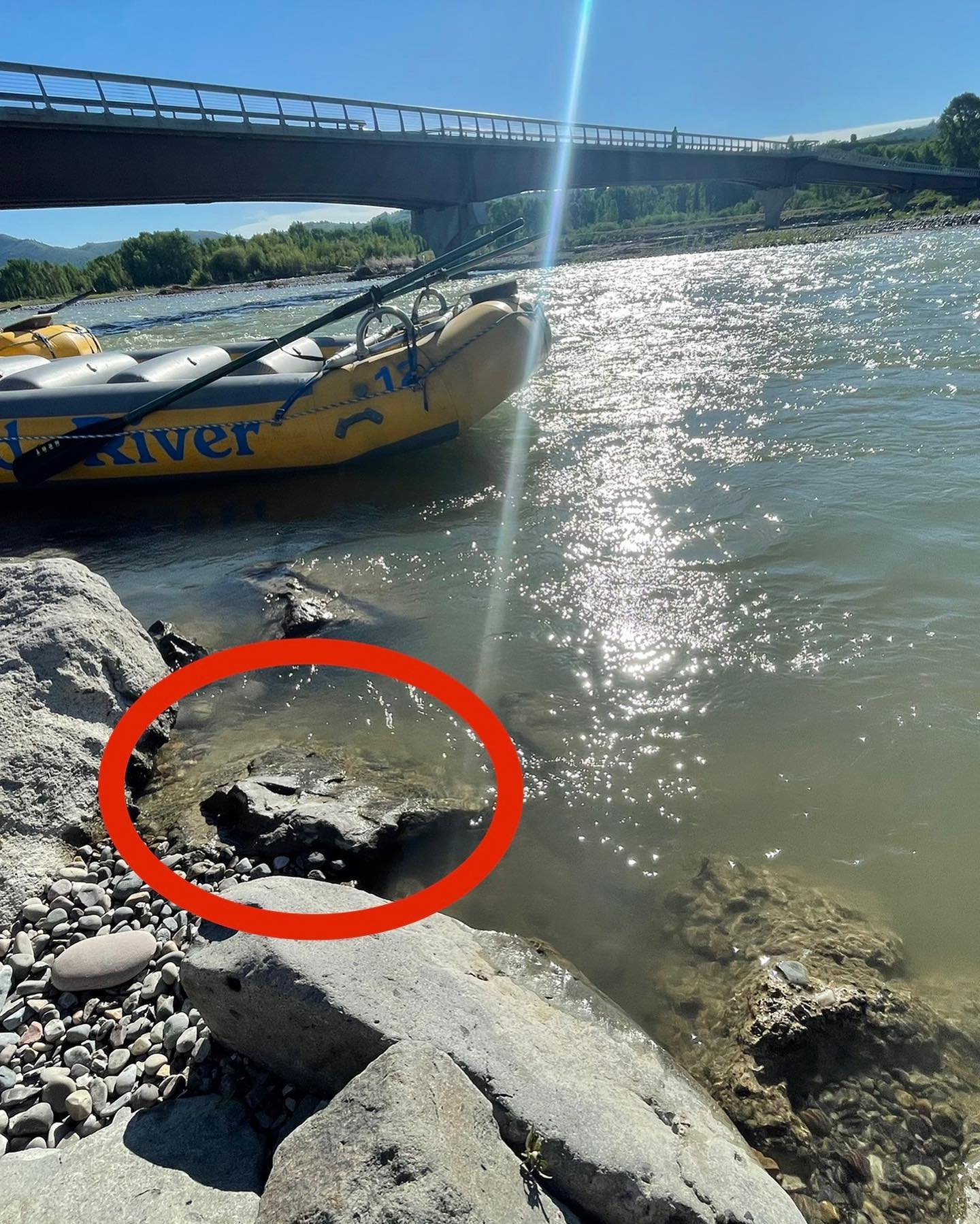 River users: Rebar hidden below water level at Wilson Boat Ramp