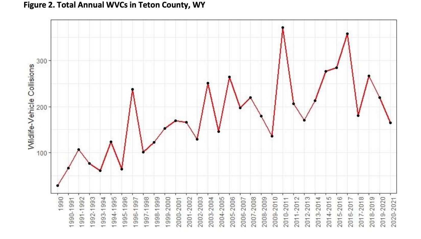 JH Wildlife Foundation releases vehicle collision report