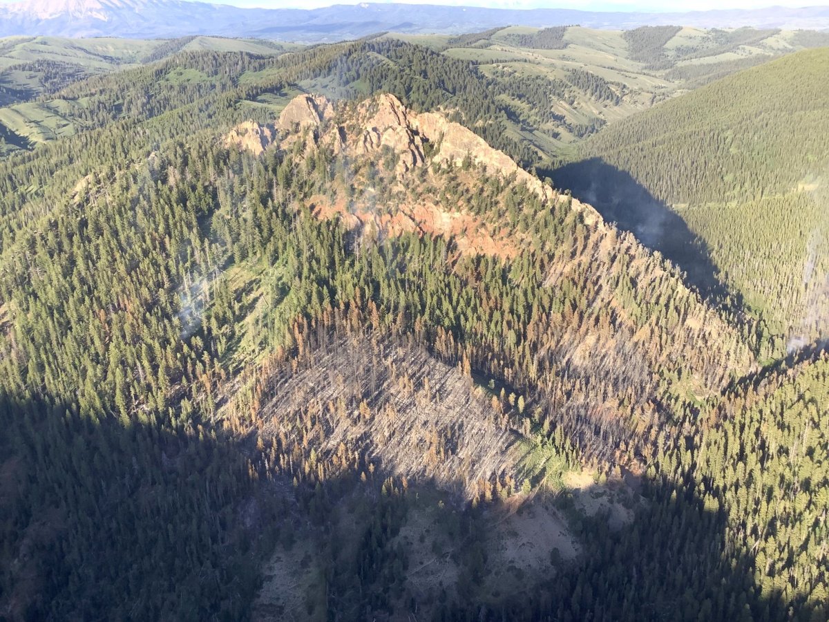 Incident management team arrives as Sandy Fire grows to 99 acres