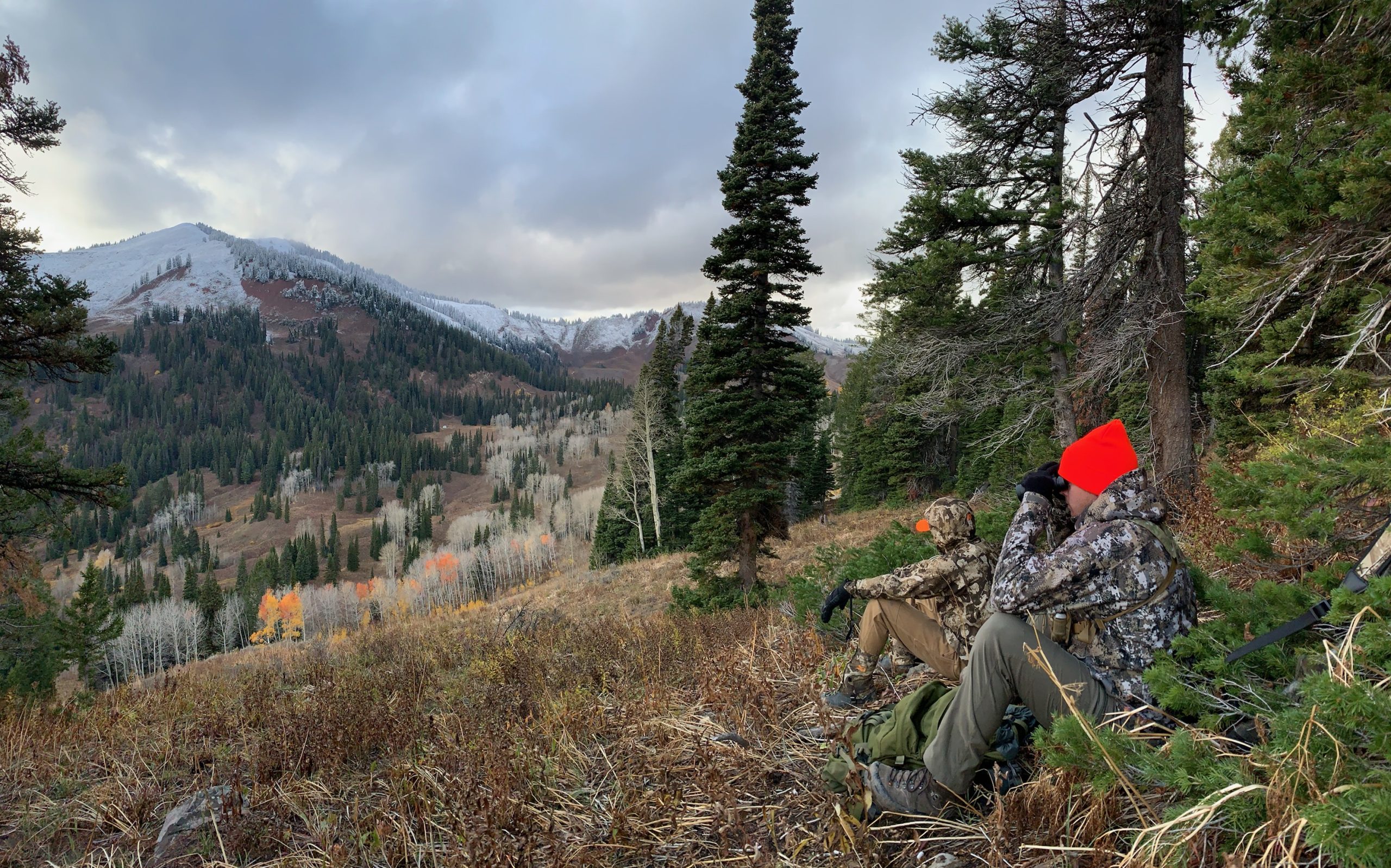 Game and Fish releases 2022 Jackson hunting forecast