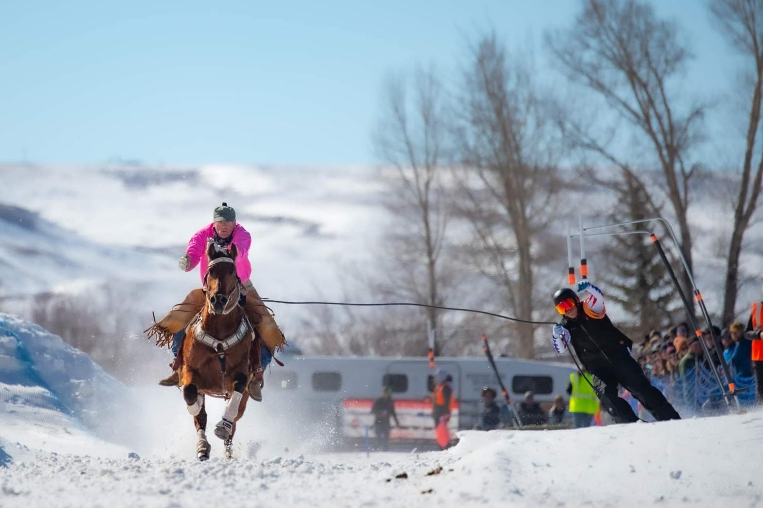 Season finale Skijor Race to be at the Little Jennie Ranch