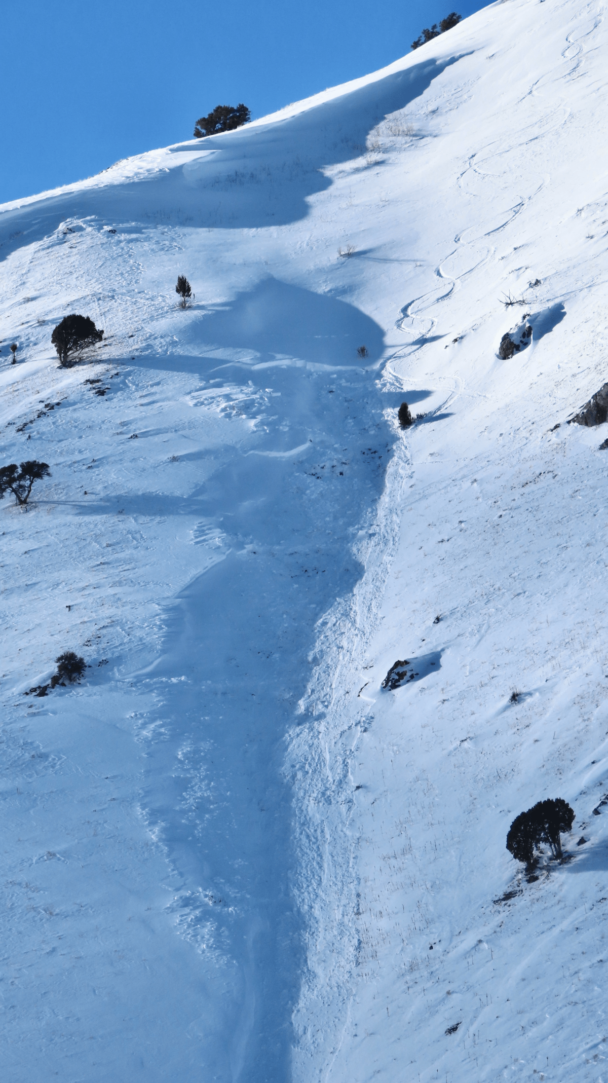 Local officials respond to flooding caused by avalanche in Taco Bell ...