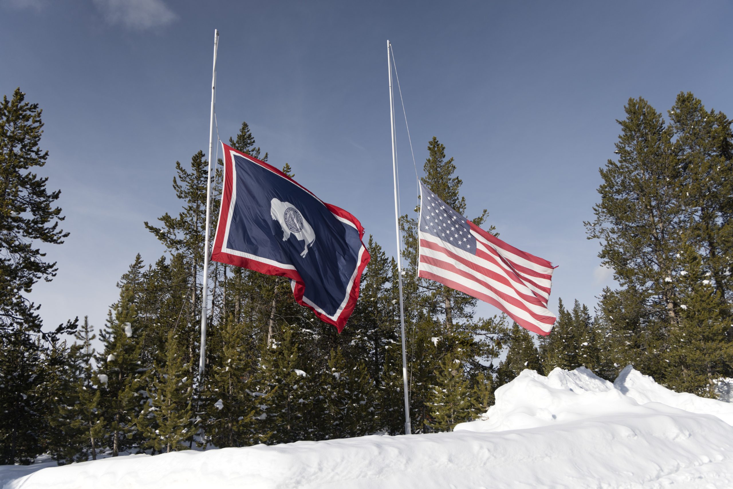 Gordon orders flags at half-staff for Pope Francis