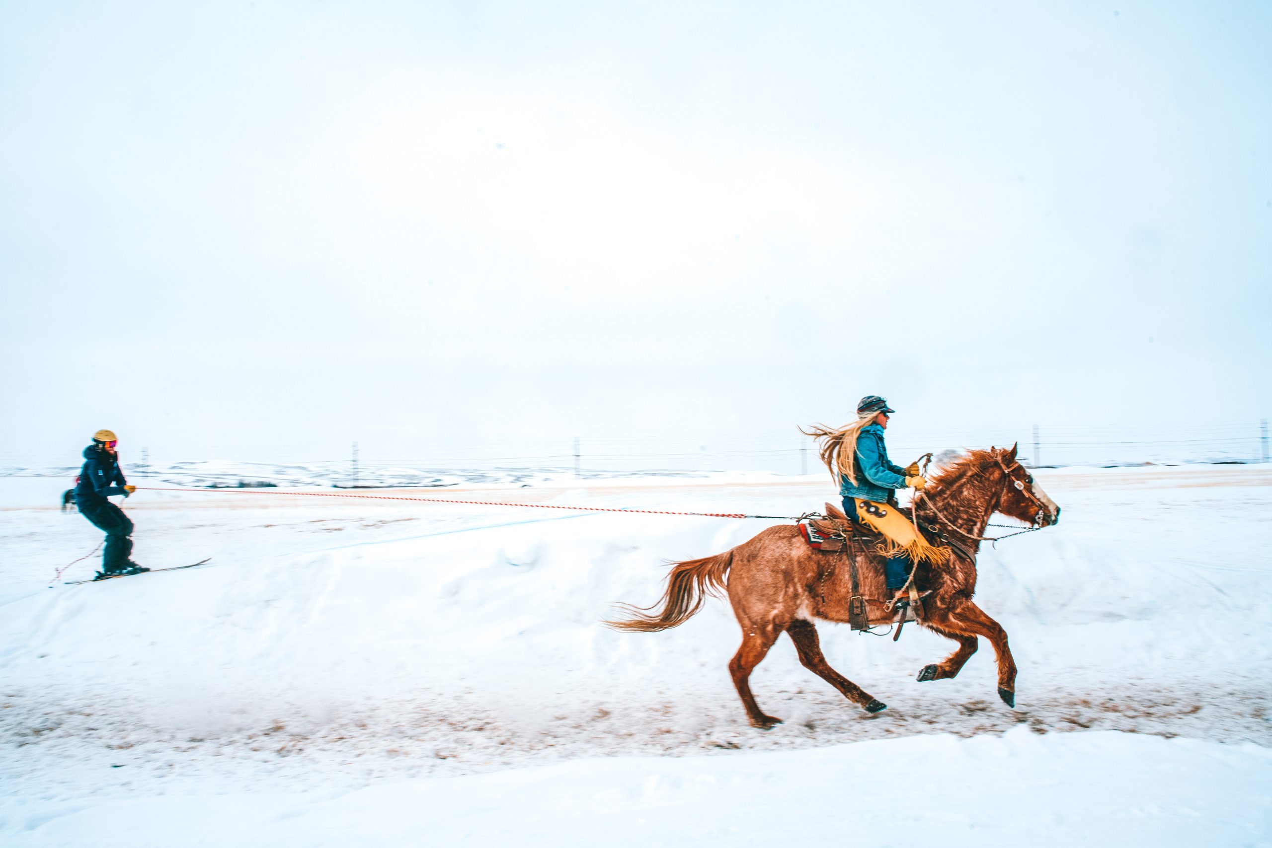 Season finale Skijor Race to be at the Little Jennie Ranch