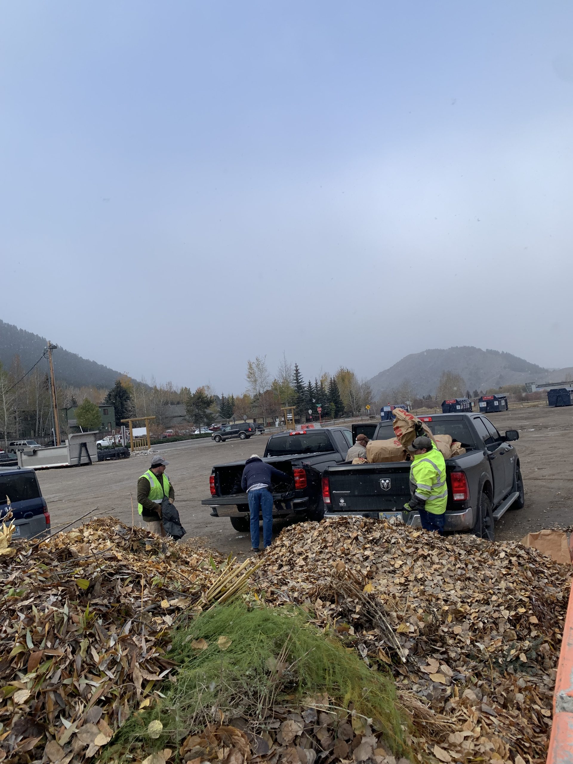 Spring clean up is just around the corner