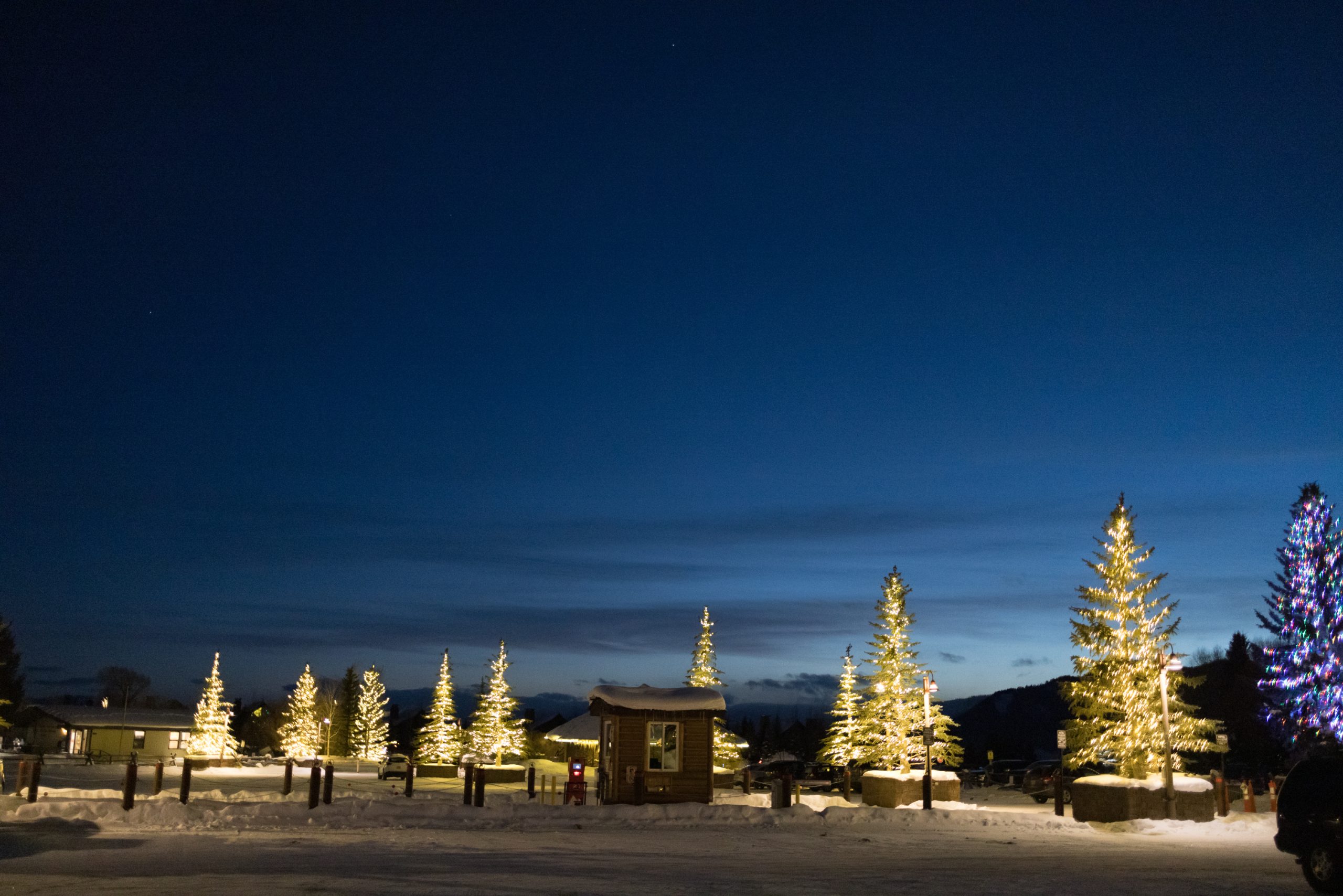 Choosing colored over white lights can lessen impact on wildlife