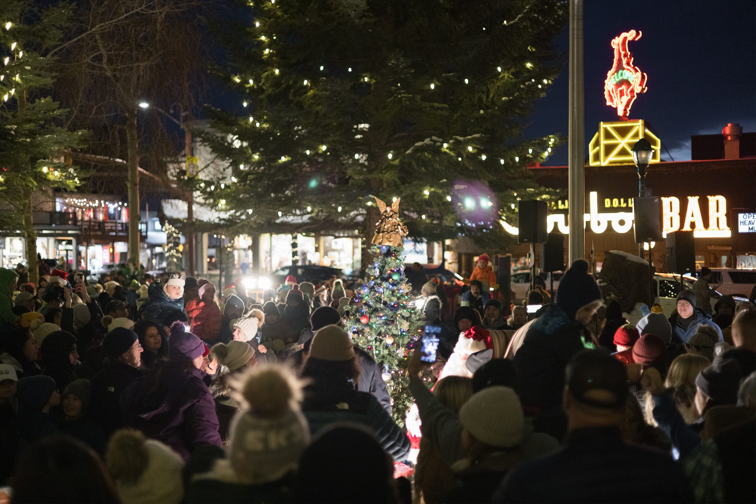 Christmas tree tradition has been around fir-ever