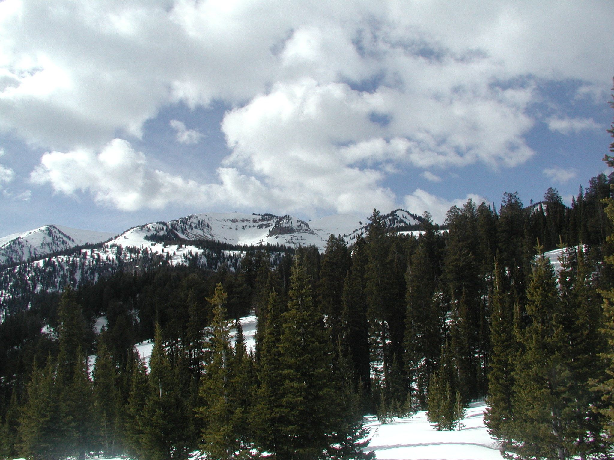 BTNF hires first official Forest Botanist