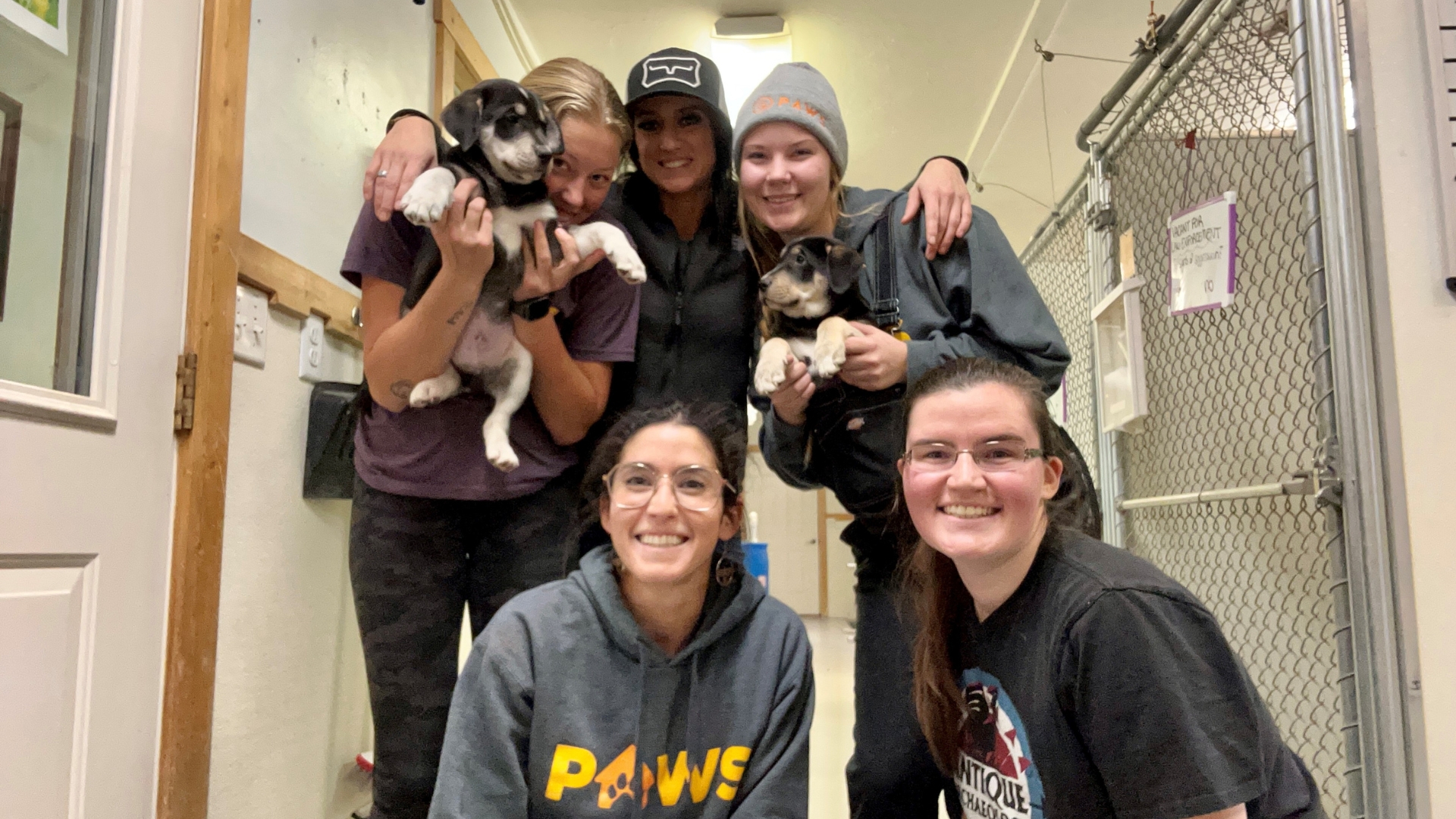 PAWS thanks the community this holiday season