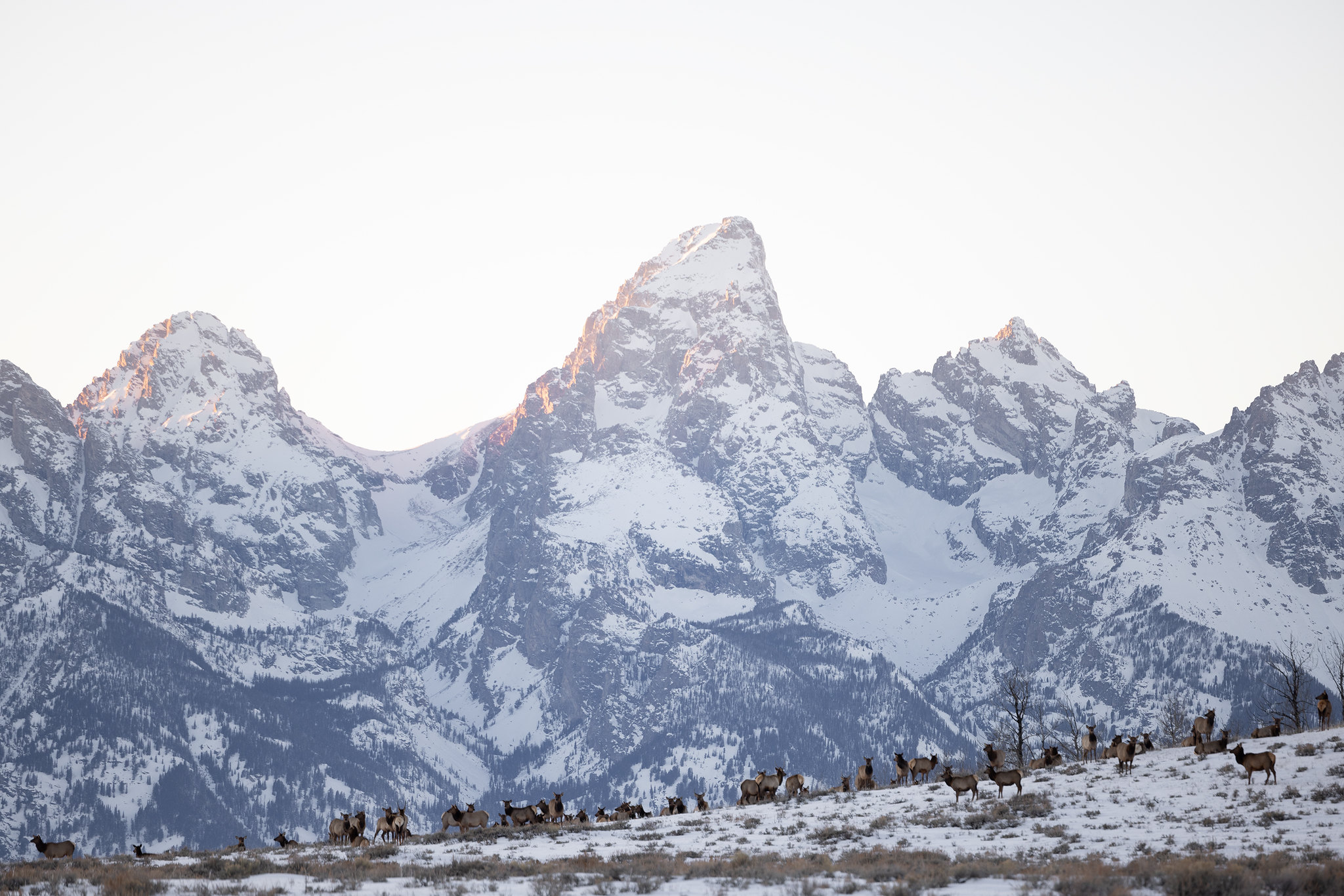 State proposes airport on the Kelly Parcel