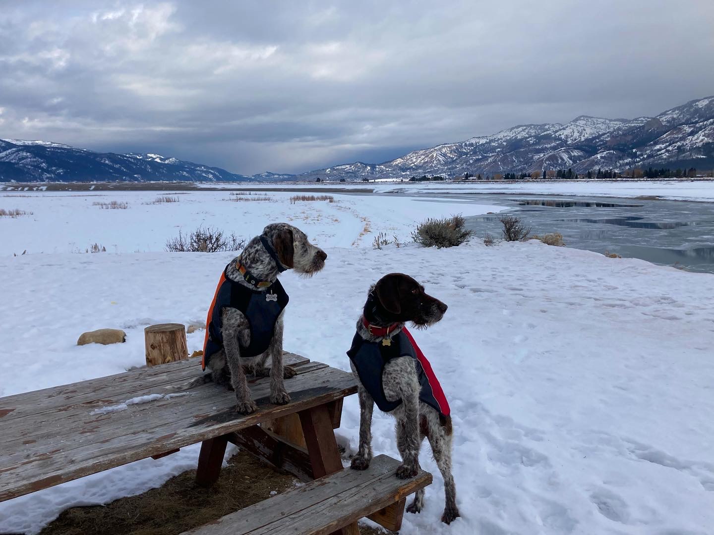 SNAPPED: Powder hounds 2024, vol. III