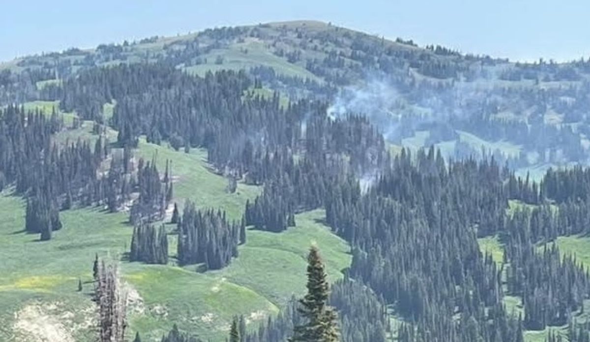Horse Creek Fire now covers 43 acres in BTNF