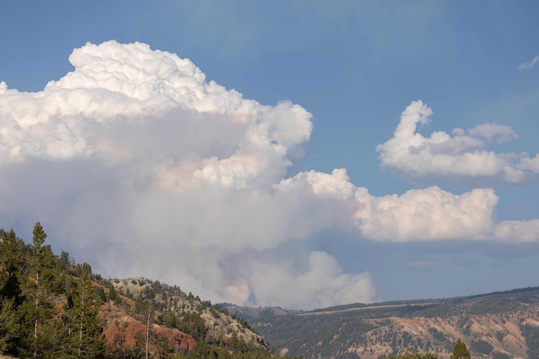 Gov Gordon requests Disaster Declaration for wildfire impacts