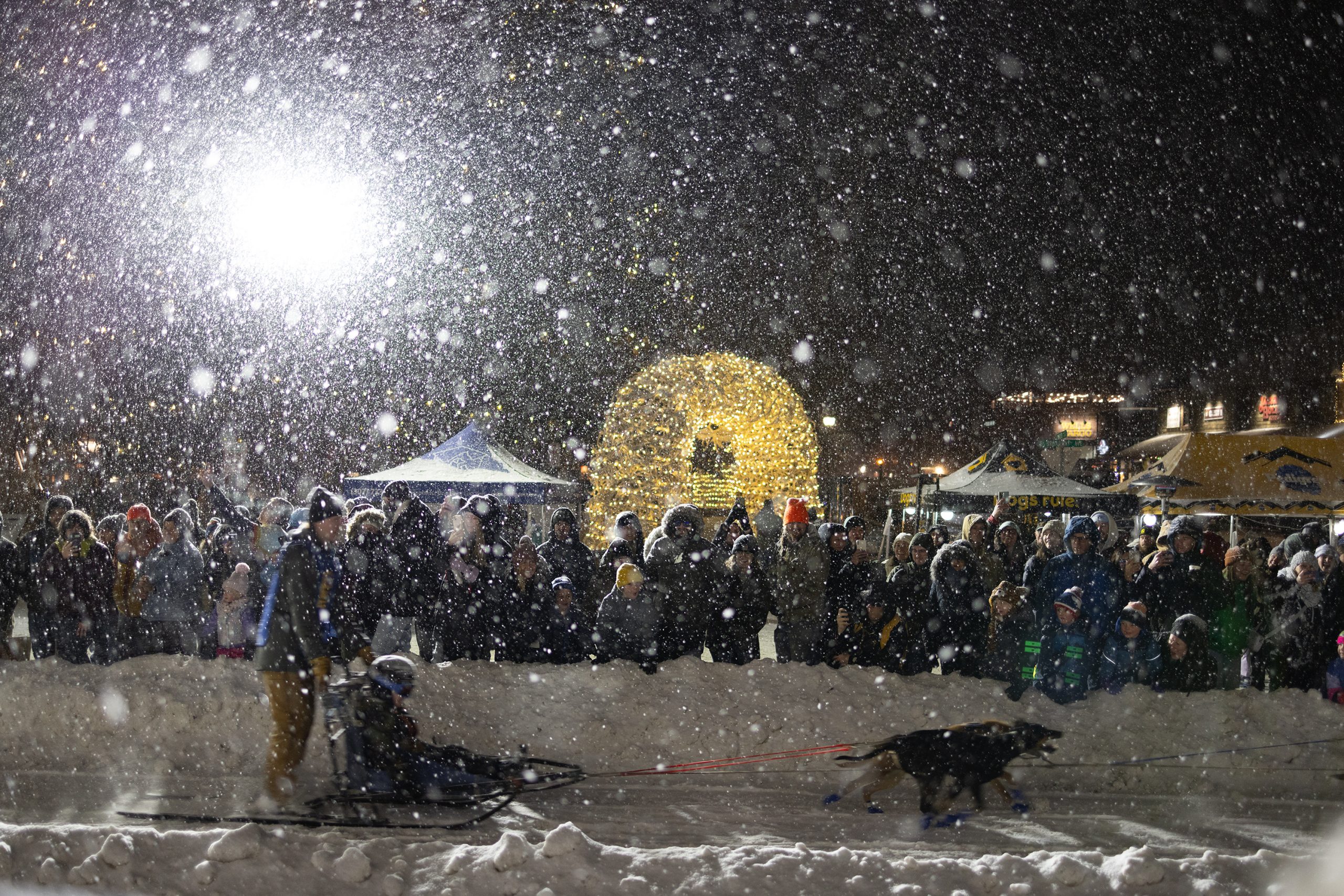 SNAPPED: Pedigree Stage Stop Sled Dog Race starts off on right paw