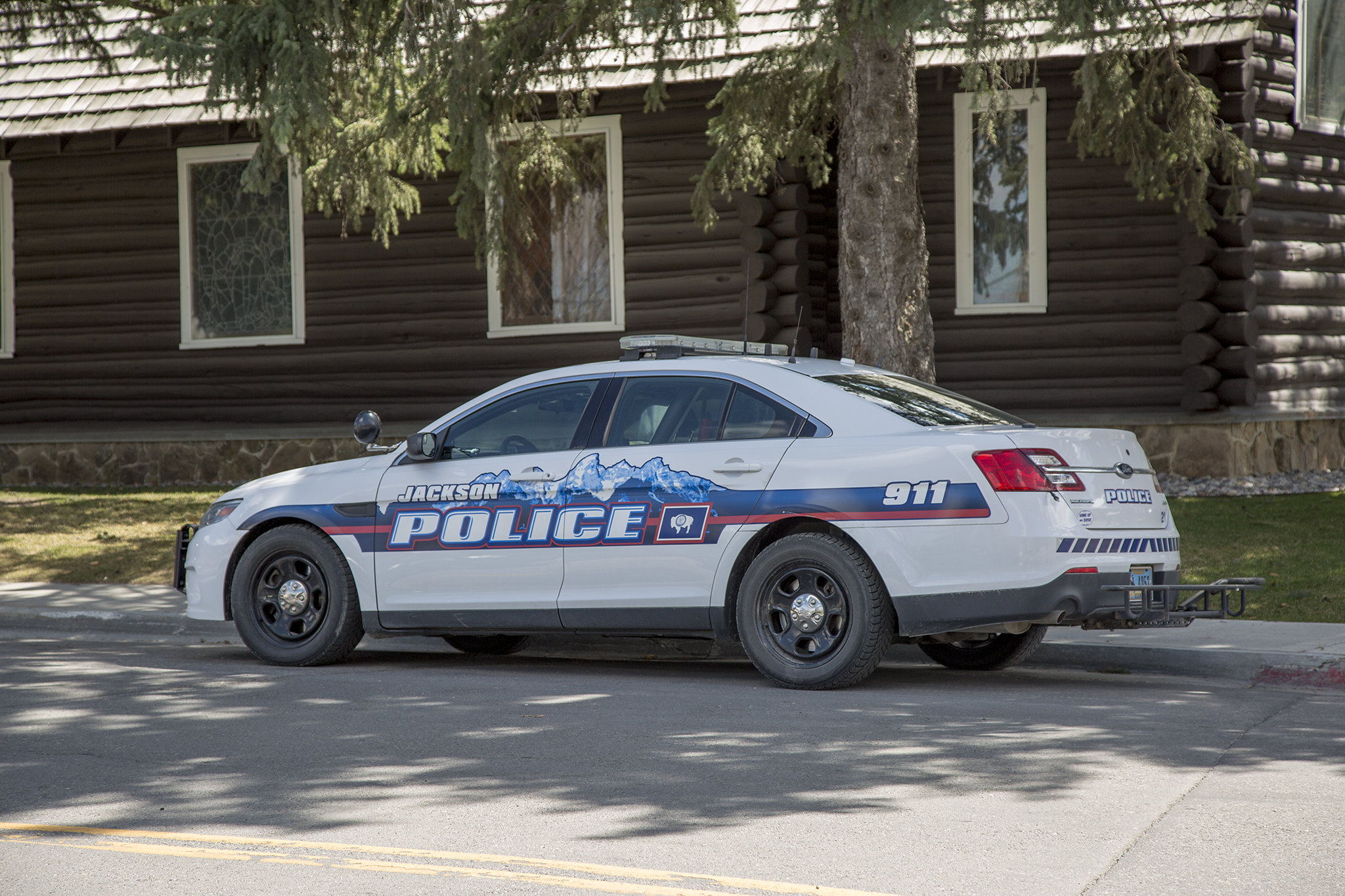 Jackson Police Department seeks information on graffiti suspect