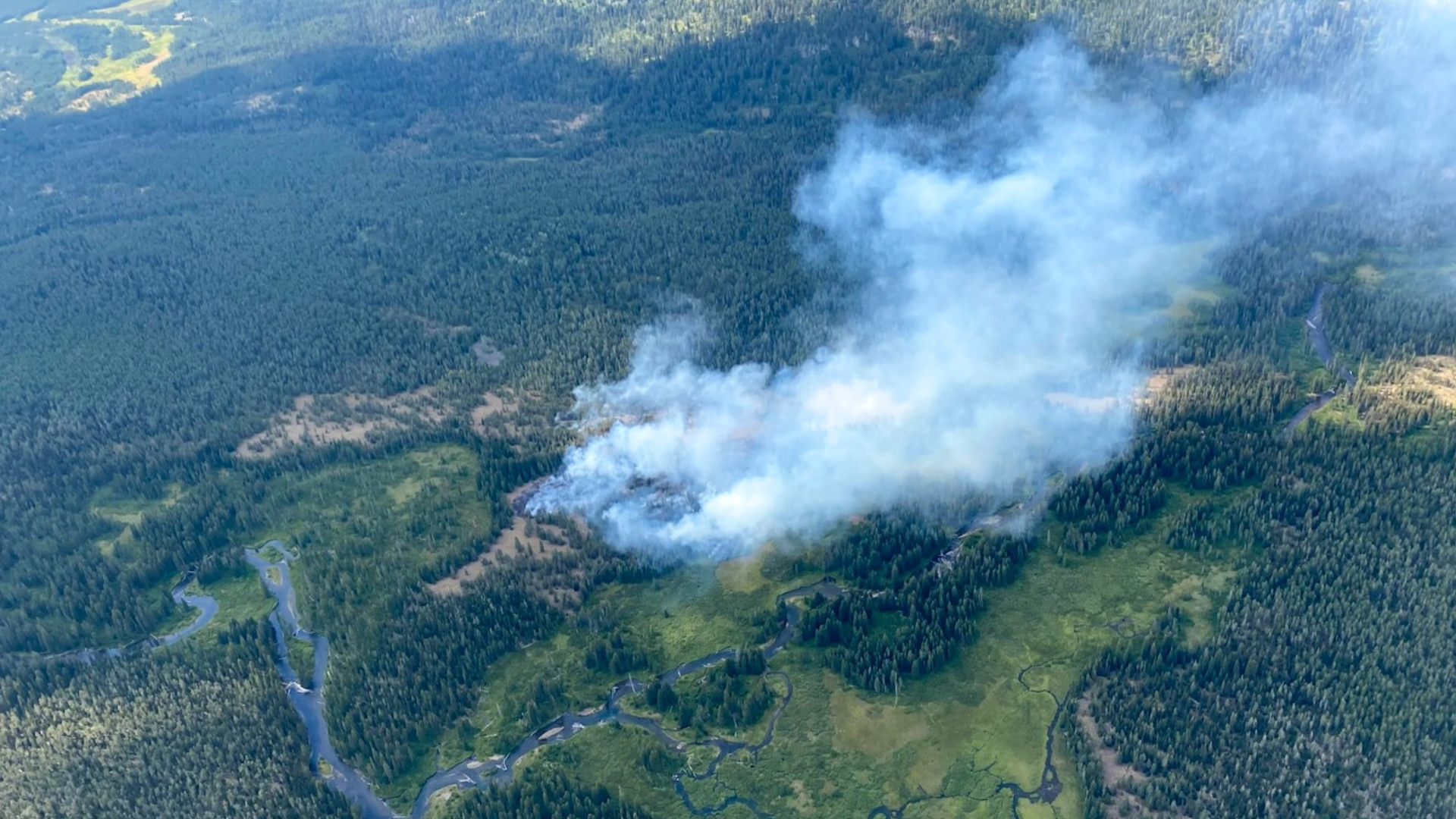Yellowstone reports wildland fire in southwestern corner of park
