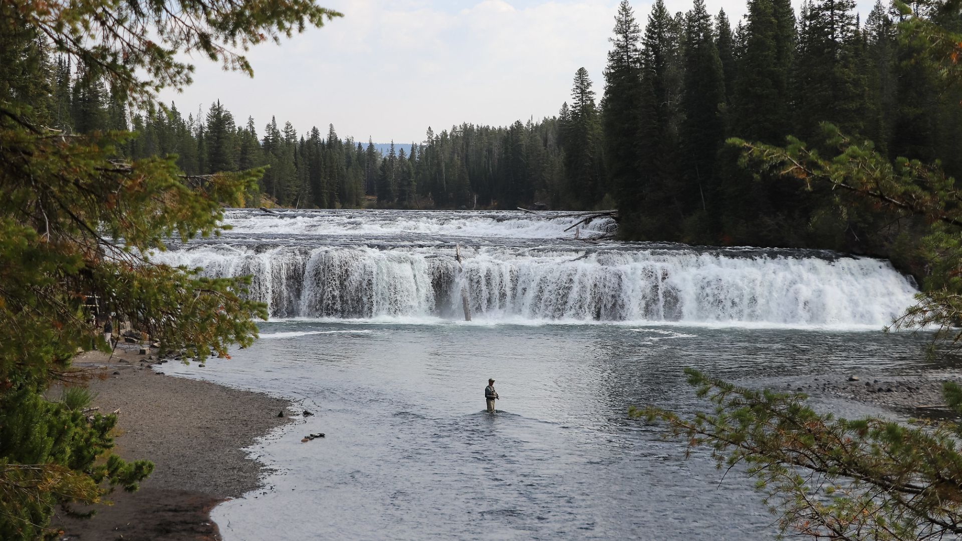 Fishing in some YNP rivers to open early for 'optimal water conditions'