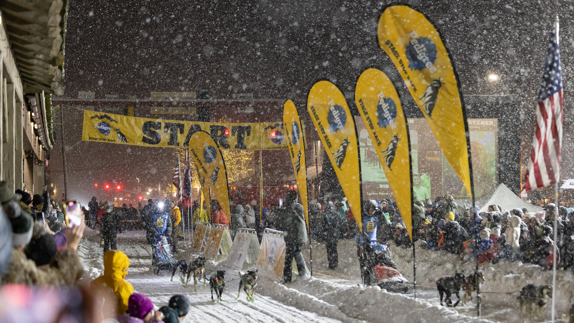 Mush! Dog sled race returns to Jackson Friday night